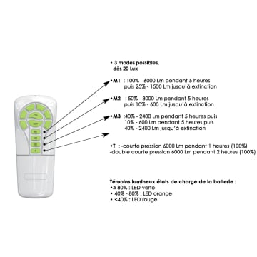 BF LIGHT - BF-SCL60W - Tête de mât/candelabre 60W Télécommandé - 3000°K ...